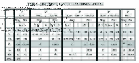 declinaciones latinas: TABLA RESUMEN DE LAS DECLINACIONES LATINAS