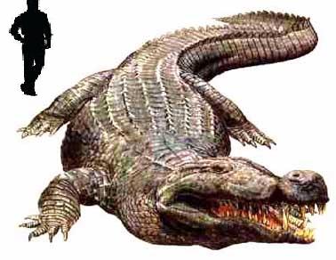 Los animales en la prehistoria: Animales prehistóricos con la letra D