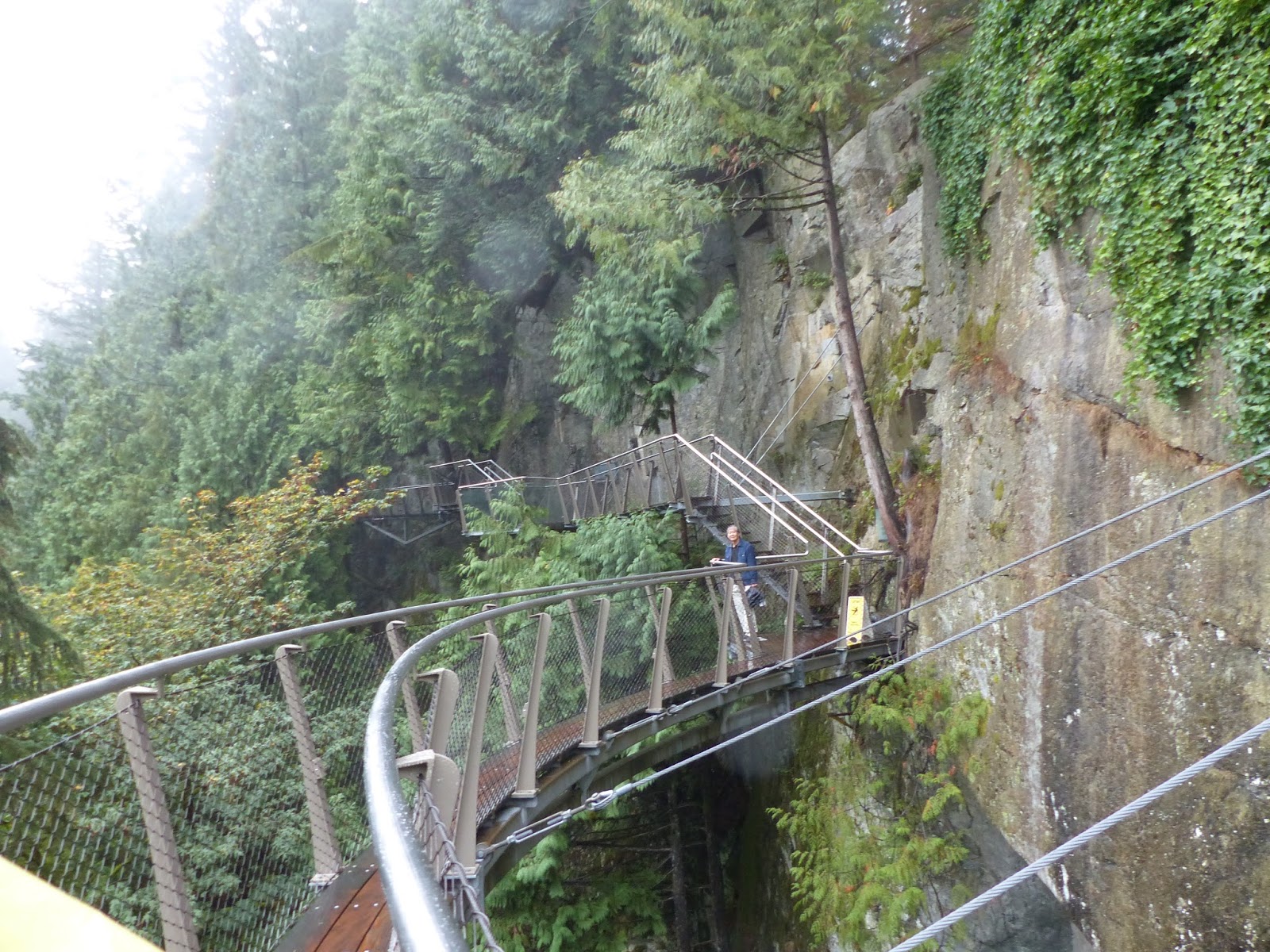 What to expect at Capilano Suspension Bridge - Vancouver - The ...