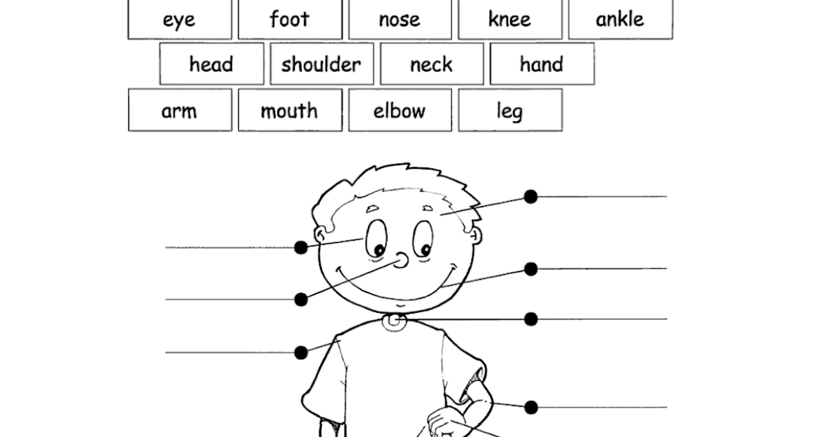 La Teacher: MARTES 24 DE MARZO. MY BODY.