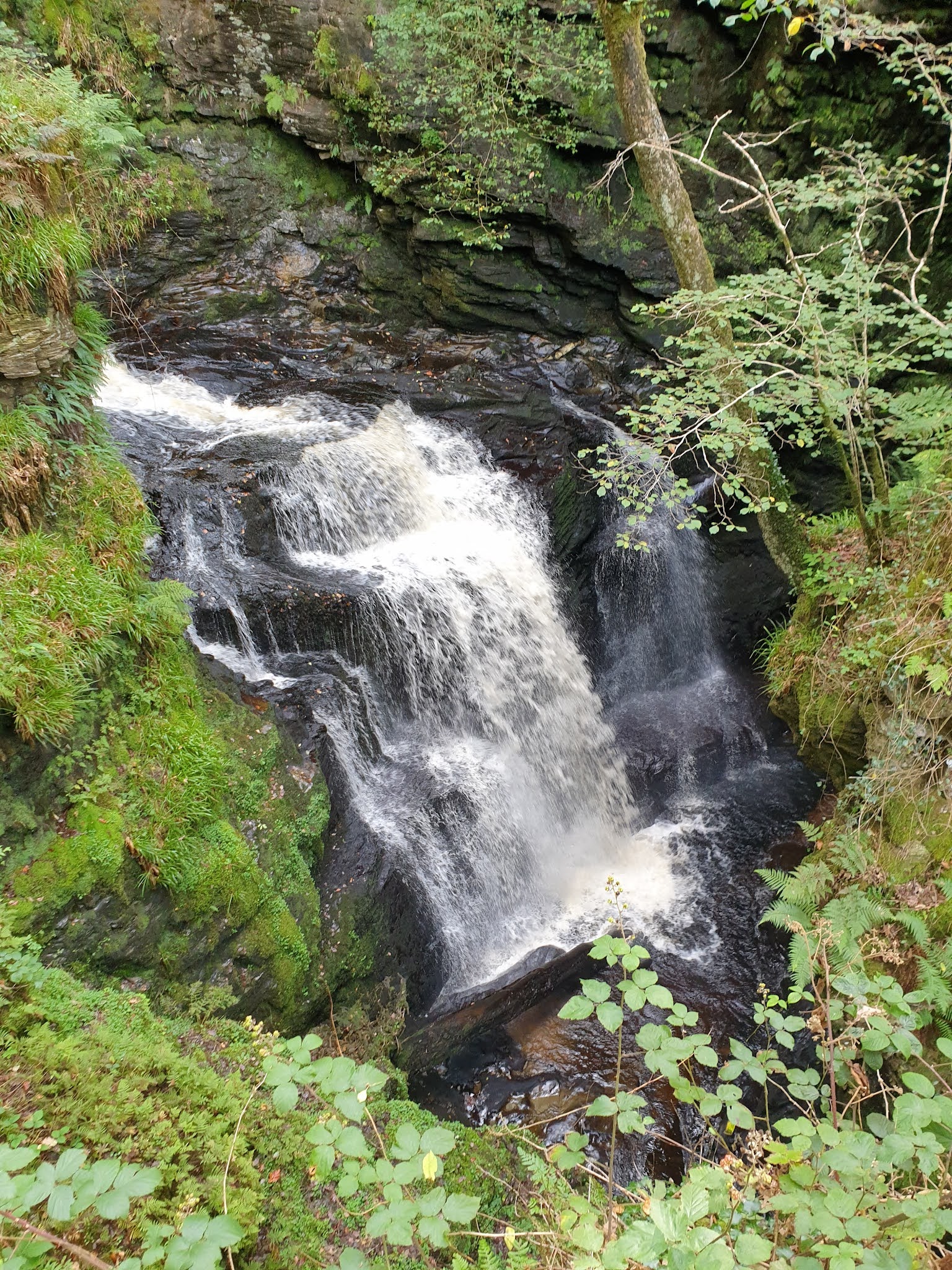 Postcard from Timperley: Tuesday 21 September 2021 - Ceunant Cynfal and ...