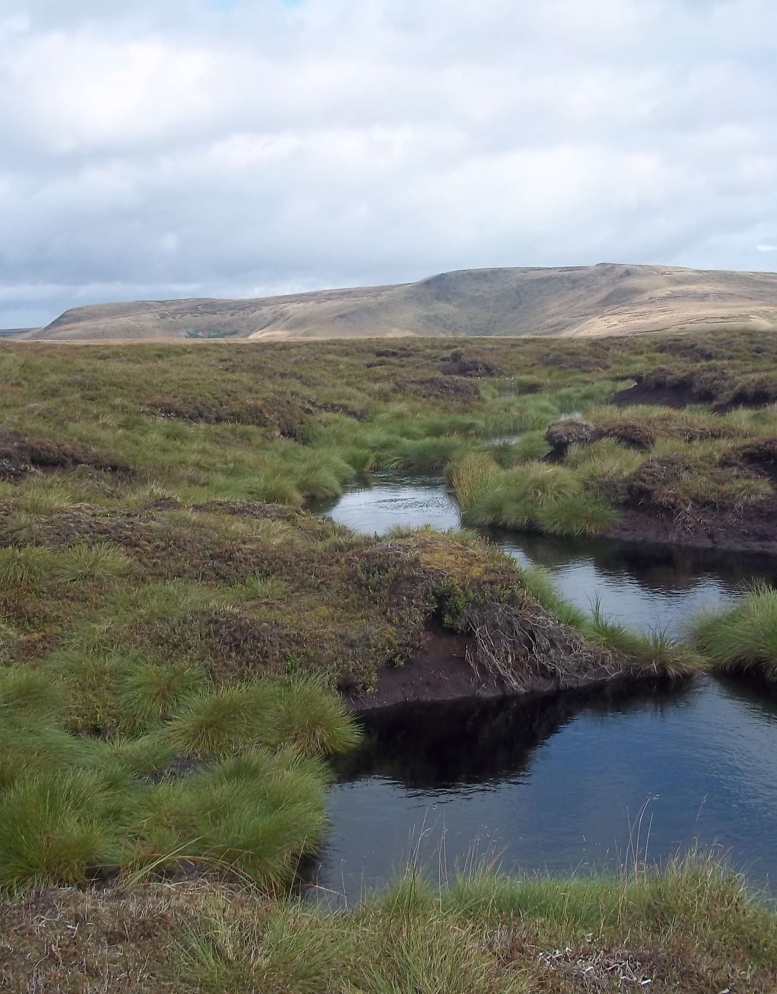 Walking The Peak: Snake Pass Summit to Castleton