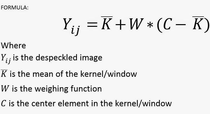 Lee filter | IMAGE PROCESSING