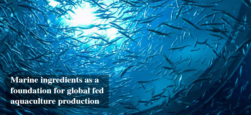 The Aquaculturists: 12/12/2016: Marine ingredients as a foundation for ...