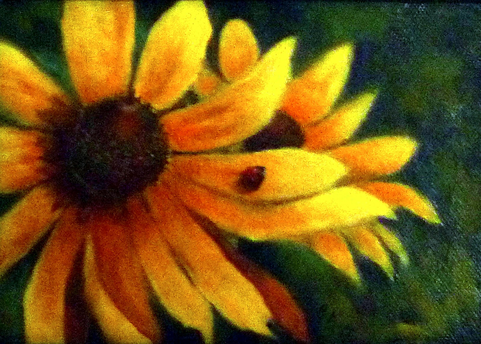 An Artist's Journey: Black Eyed Susan Original Oil Painting