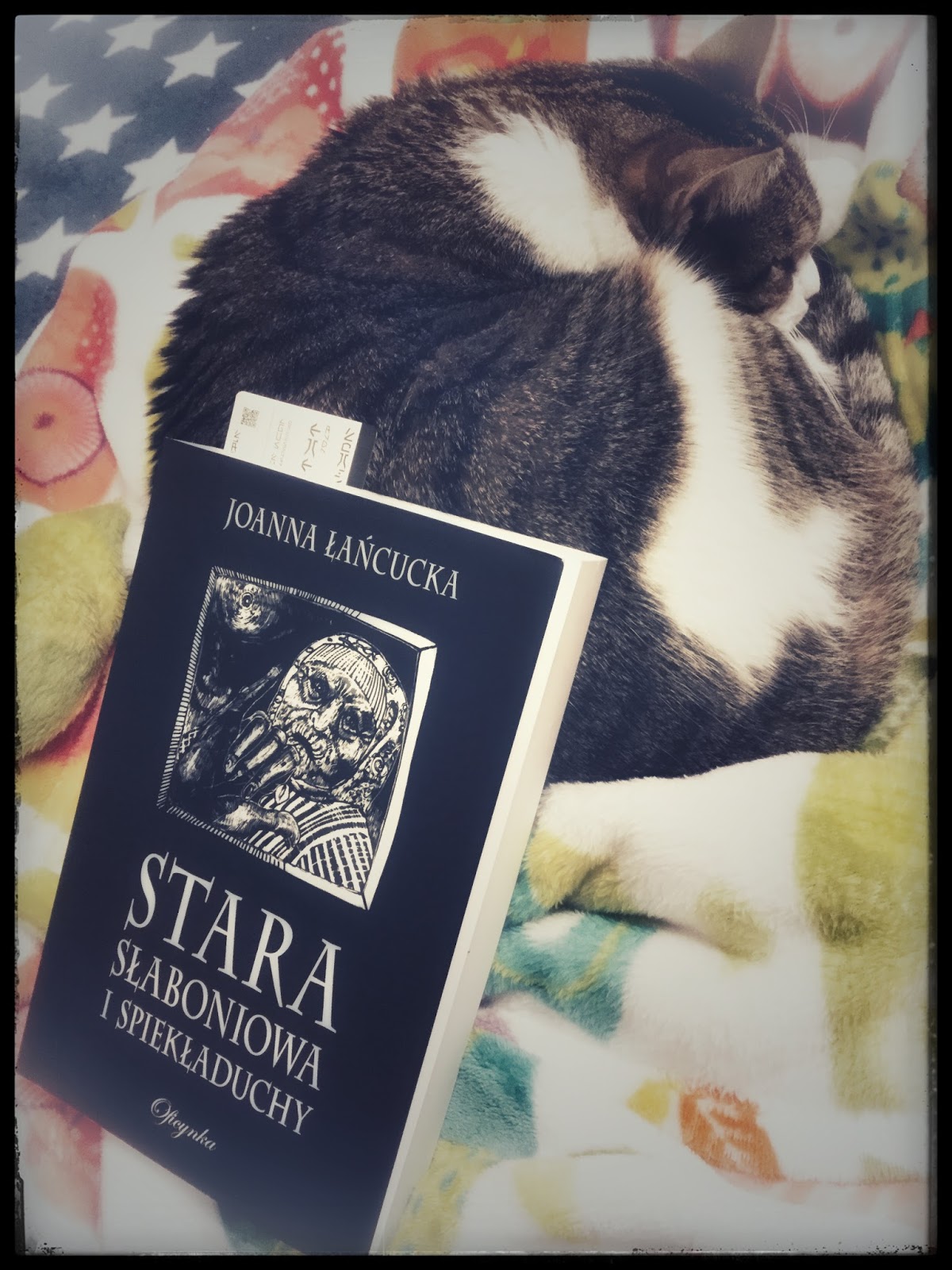 Chmurzaste zaczytanie ☆ミ: Południce, strzygi i inne upiory - Joanna ...