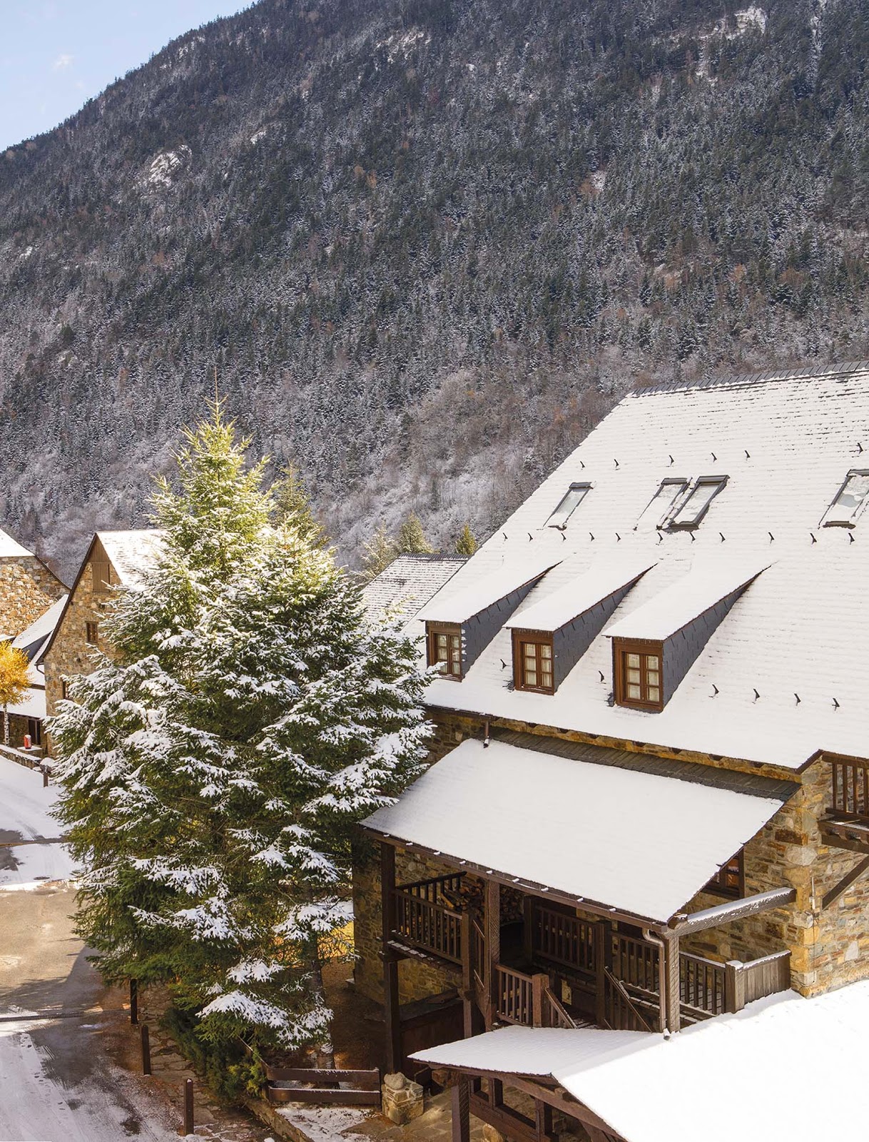 Charming rustic cabin in the Pyrenees mountains