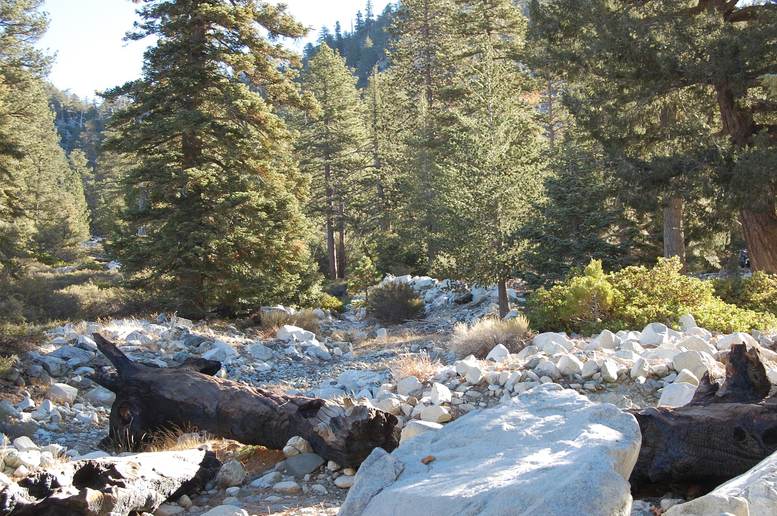 Hiking Timber Mountain | East West Hike