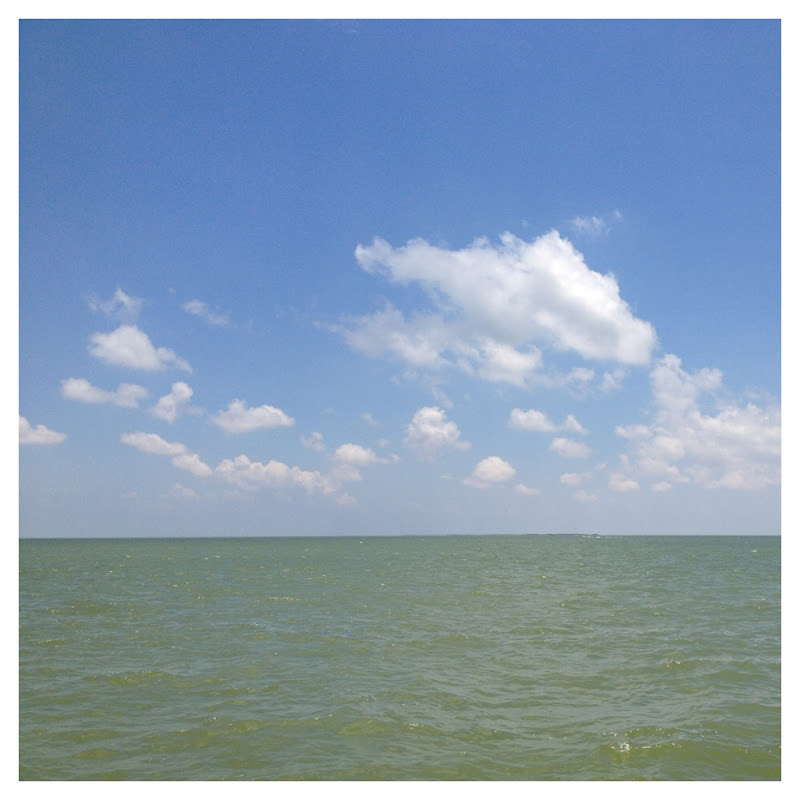 Port Mansfield, TX | sealaura