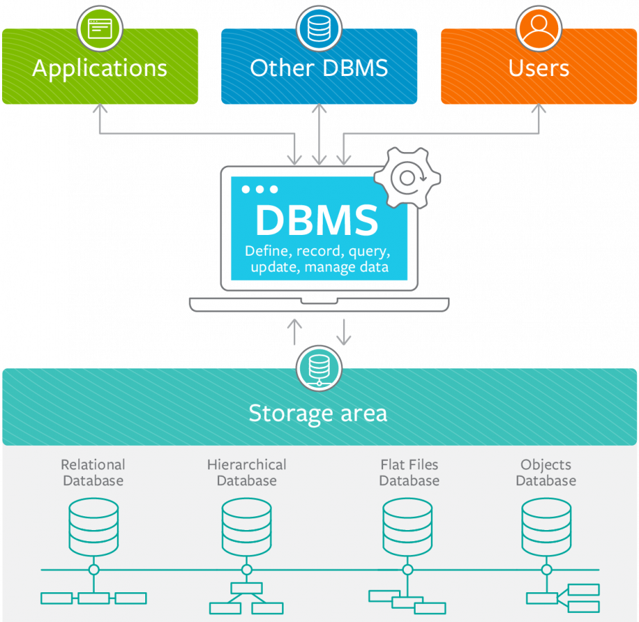 Introduction of Database