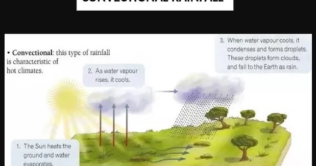 What do you know about RAIN?????? - WELCOME TO NURUTHEINN's BLOG