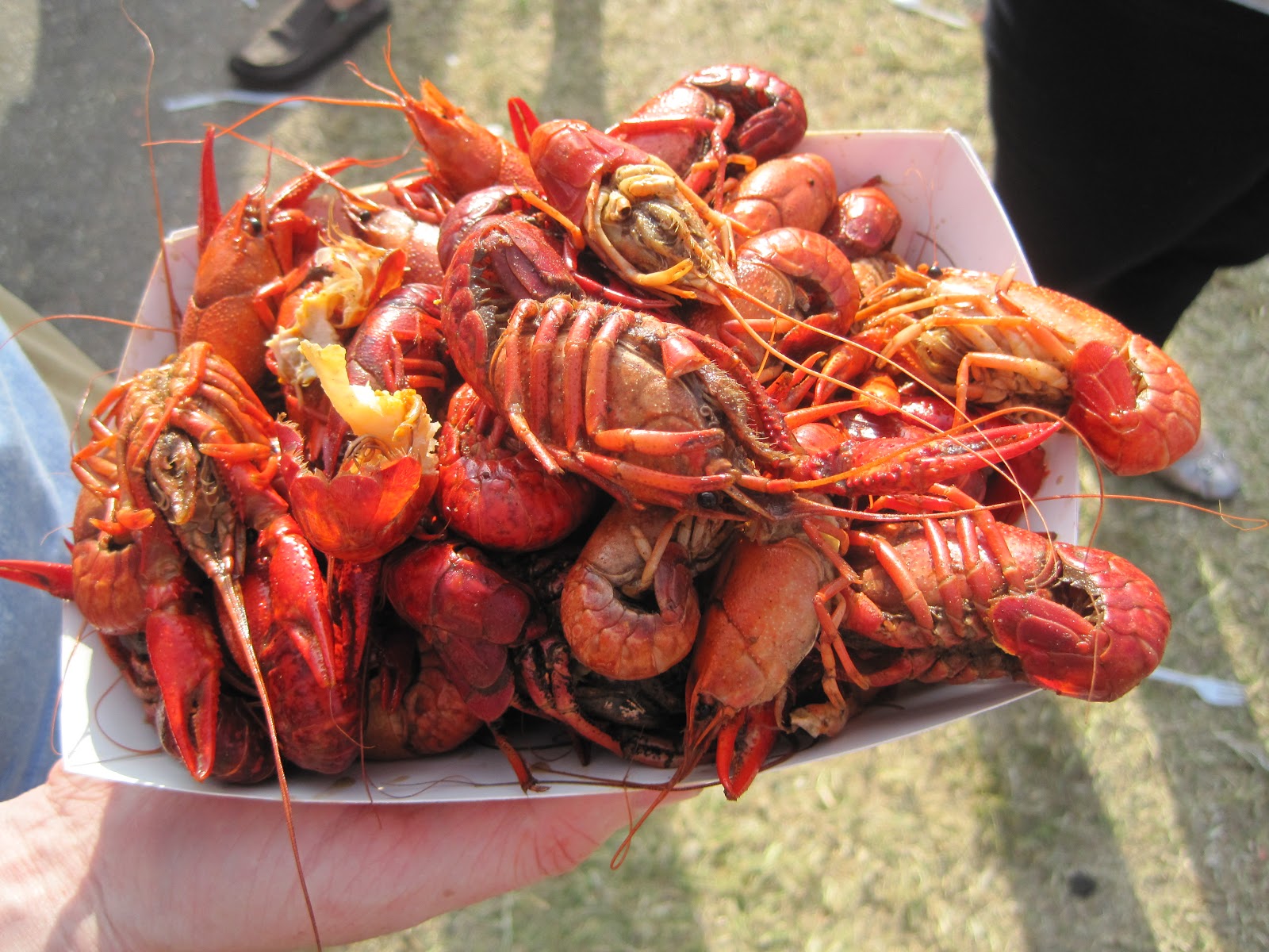 'Point Taken: Jazz Fest Food: The Crawfish