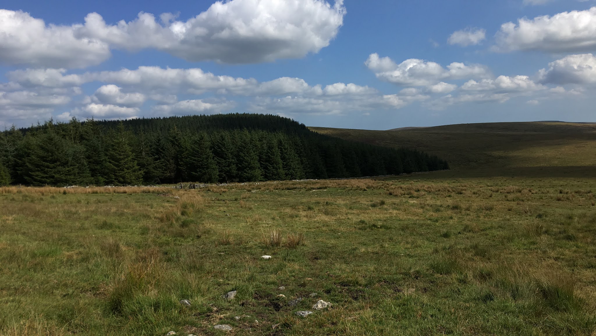 Max Piper - Tor Bagger: Dartmoor: Chagford to Postbridge hike (10 miles ...