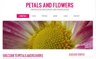 Html CSS Template, Free Web Templates, Web Design Tutorials