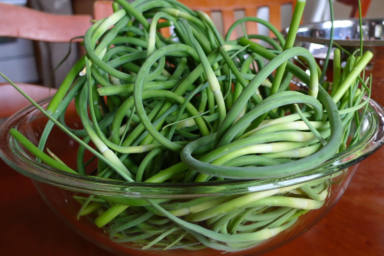 Pickled Garlic Scapes - Backwoods Mama