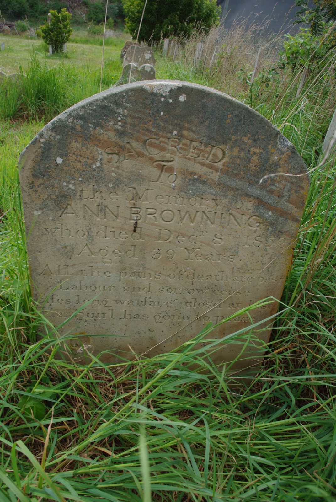 No. 598 - Lawitta - The Back River Methodist Chapel