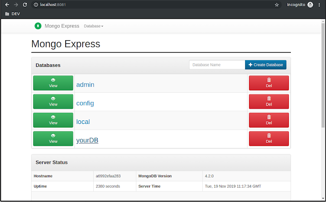 How To Add Mongo Express To Your Project