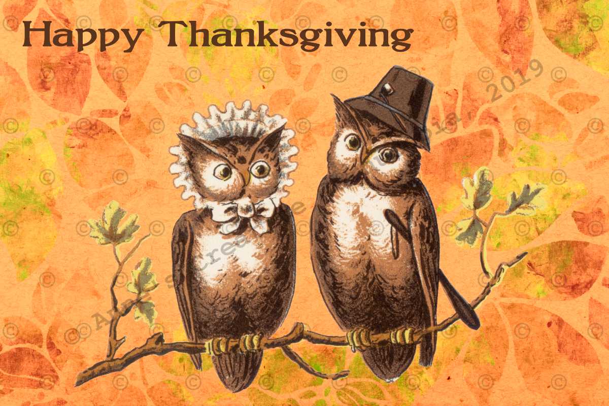 Anne's Creative Cornucopia: "Thanksgiving Pilgrim Owls" - Postcard