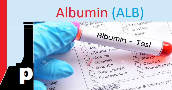 Albumin Normal Range