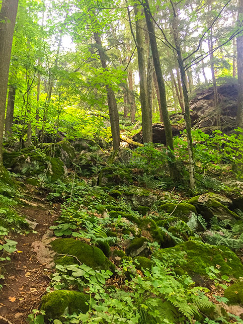 Hiking Ablemans Gorge