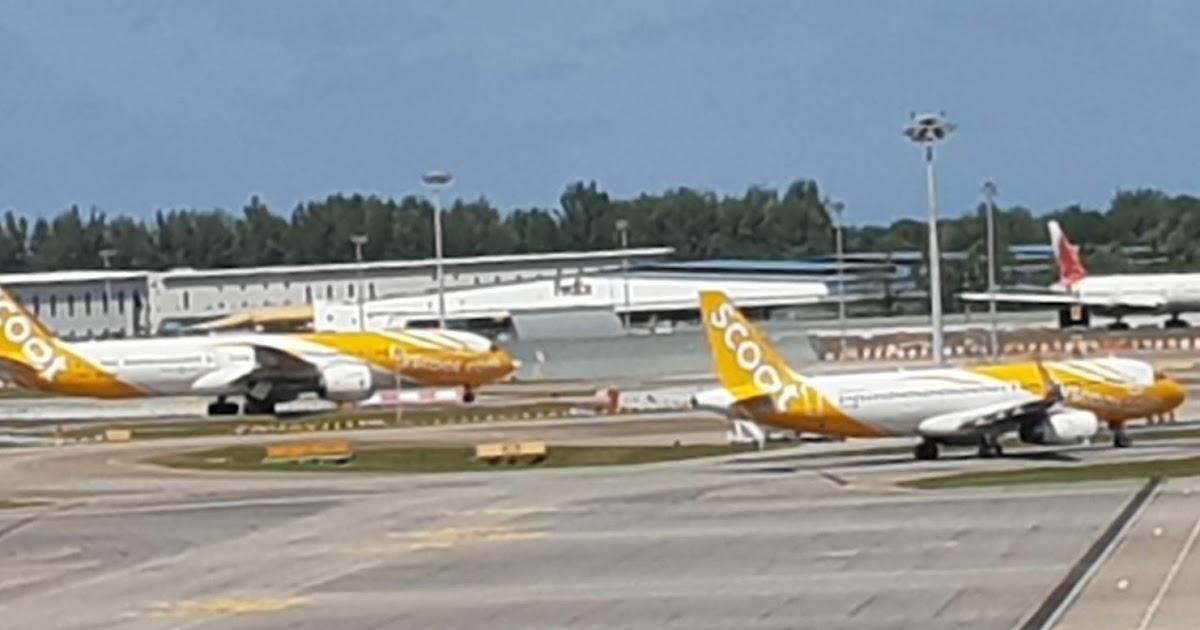 StayGate: Scoot extends Japan flight cancellations till 31 March 2021