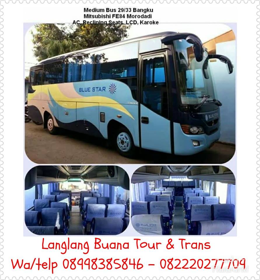 SEWA BUS BLUE STAR JAKARTA 08998385846 - 082220277709 | Langlang buana ...