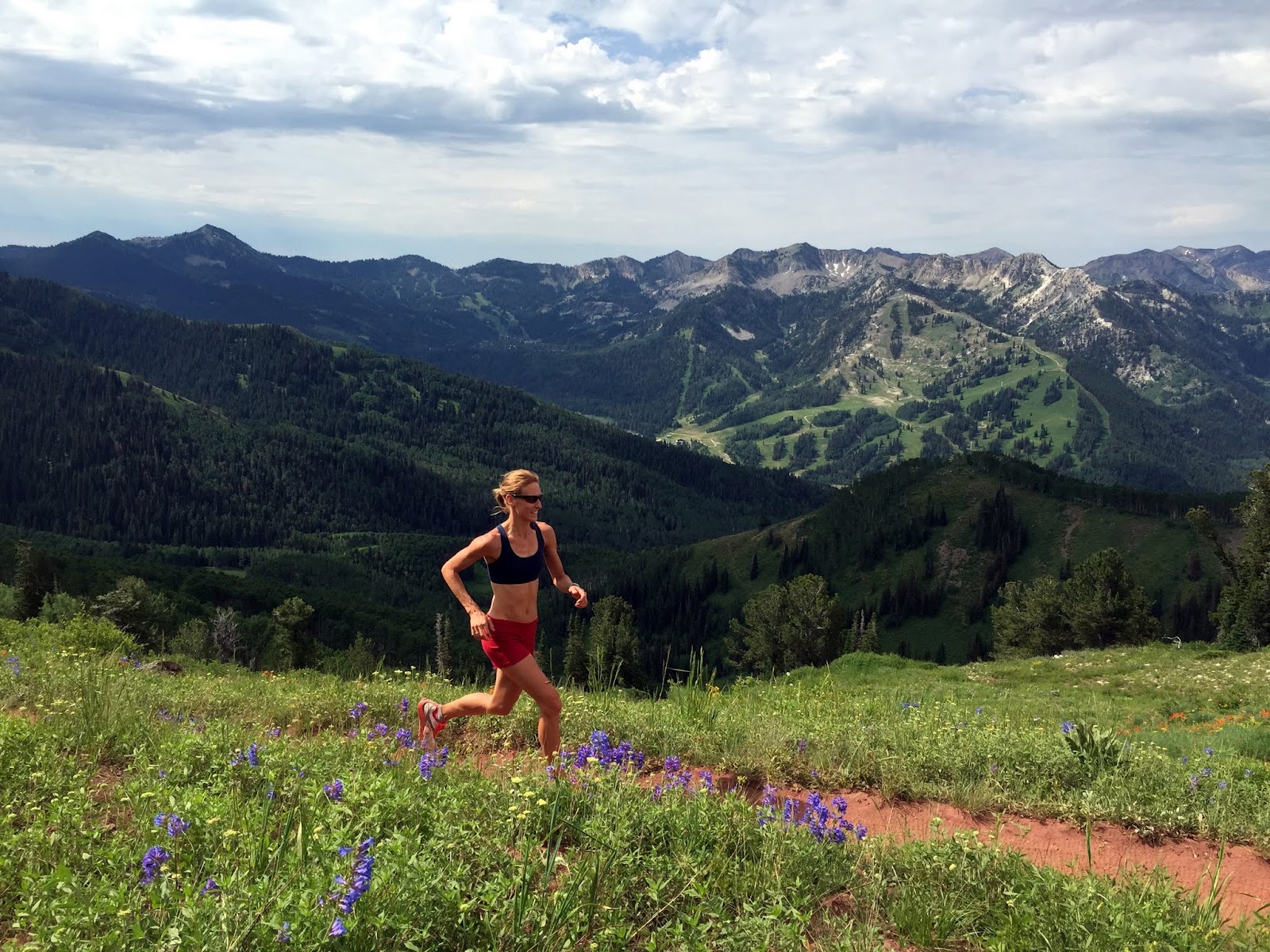 wasatch and beyond: Pipeline, Mid-Mountain, and Wasatch Crest Trail Runs