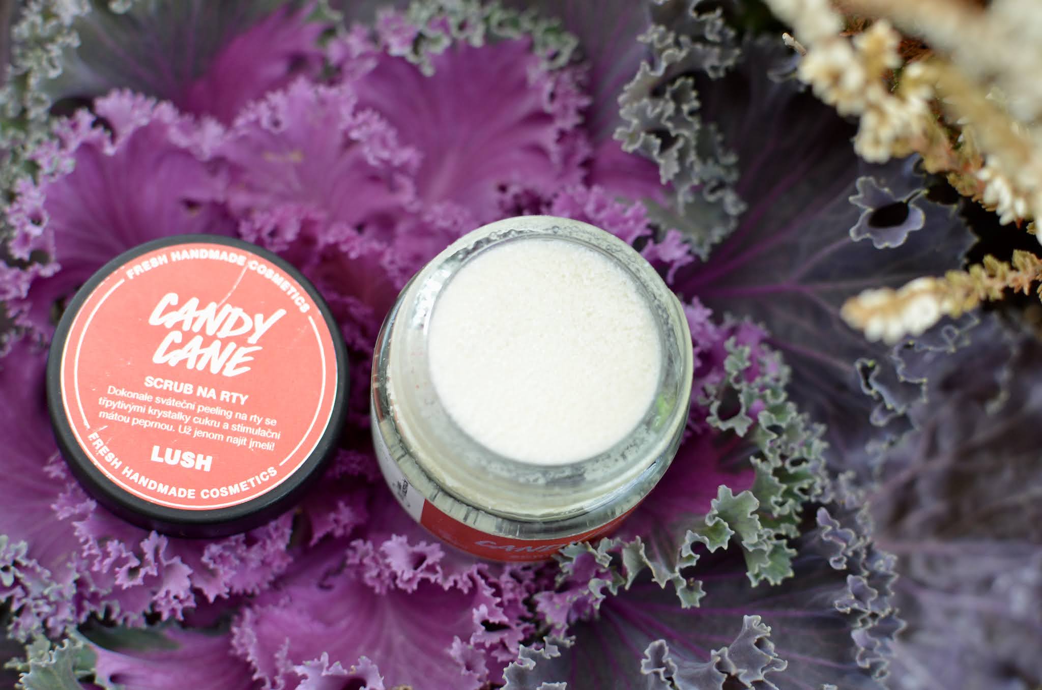 Lush: Candy Cane | AE style svět