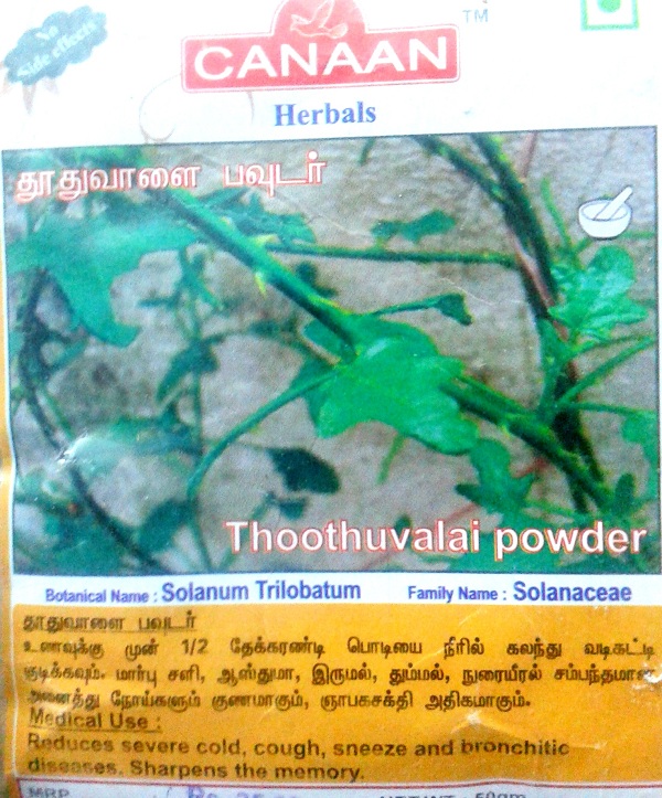 Thuthuvalai | Thoothuvalai Benefits and Medicinal Uses | Pink and Pink