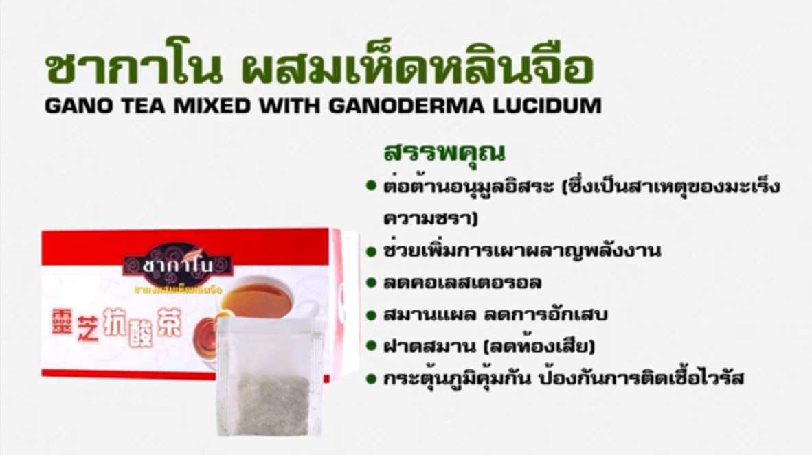 ศูนย์จำหน่าย กาโน เอ็กเซล ประเทศไทย: ชากาโน ผสมเห็ดหลินจือ GANO TEA ...