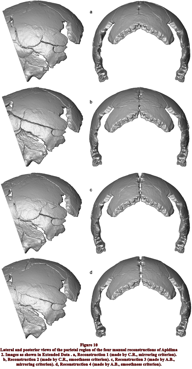 Αριστομένης ο Μεσσήνιος: Apidima Cave fossils provide earliest evidence ...