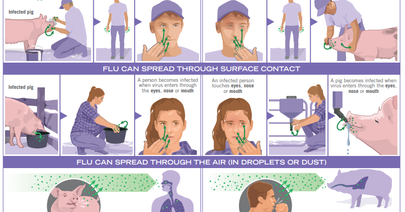 Avian Flu Diary: WHO Risk Assessment: Influenza A (H3N2) variant virus ...