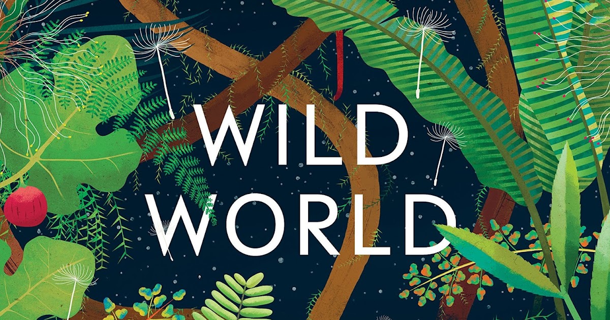 "Wild World" by Angela McAllister and Hvass & Hannibal (Wide Eyed Editions)