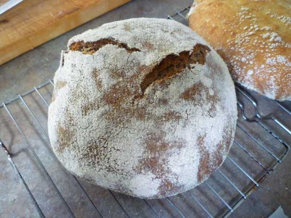 exorphin junkie: Triticale and Spelt Bread Bake-off