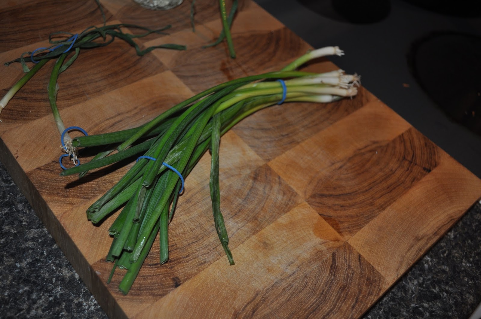 Starting From Seed: How to keep your green onions from going limp!