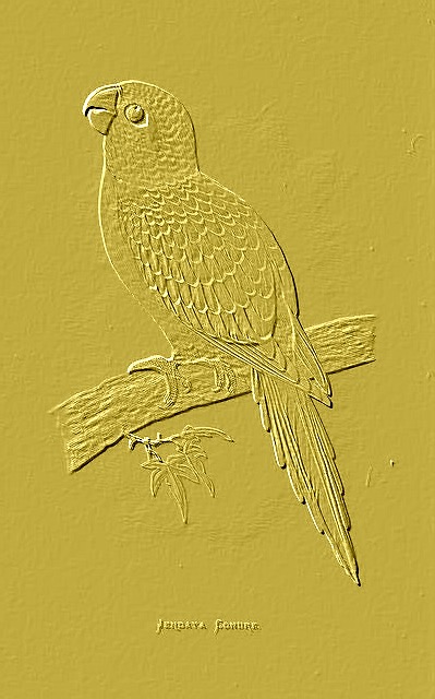Birds Metal Gold