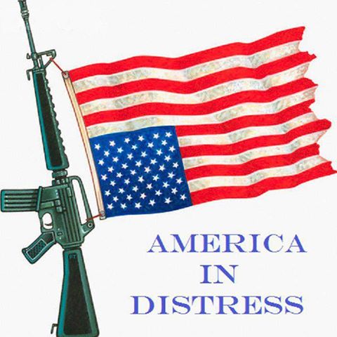 INSIGHT on Freedom: A Dream, An Idea, A Nation -- In Distress ... J. D ...