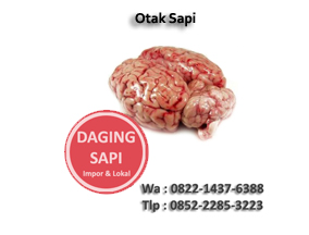 Produk - Daging Sapi Import & Lokal