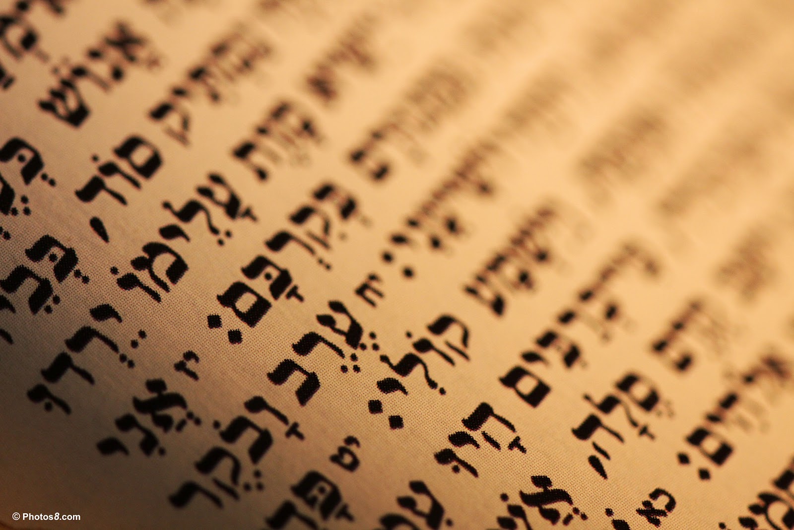 The Law Of Sin And Death Rabbi Mordecai s Drash The Law Of Sin And Death Rabbi Mordecai s Drash