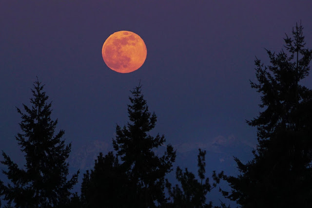 Shoreline Area News: Super moons