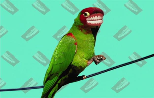 Watch Elmo's World Teeth