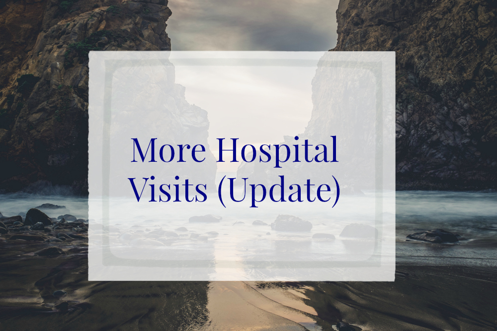 Journey of a Catholic Nerd Writer: More Hospital Visits (Update)