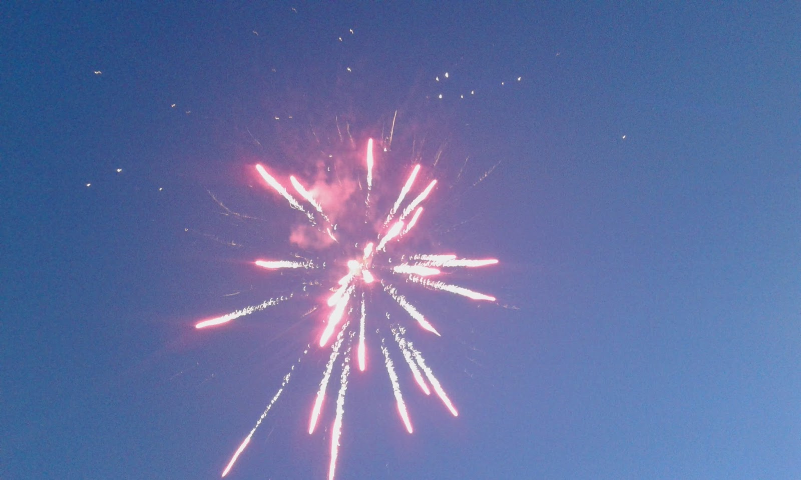 LES ARTS PLASTIQUES au lycée Comte de Foix: Photographies 3eme