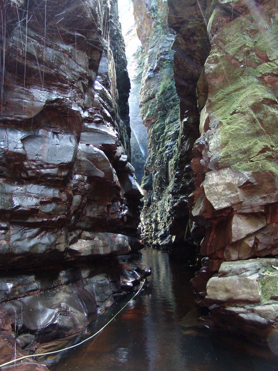 VIAJE A CANAIMA: VUELA A KAVAK