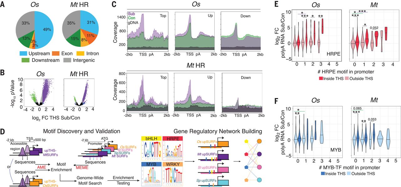 #!/perl/bioinfo: 2020