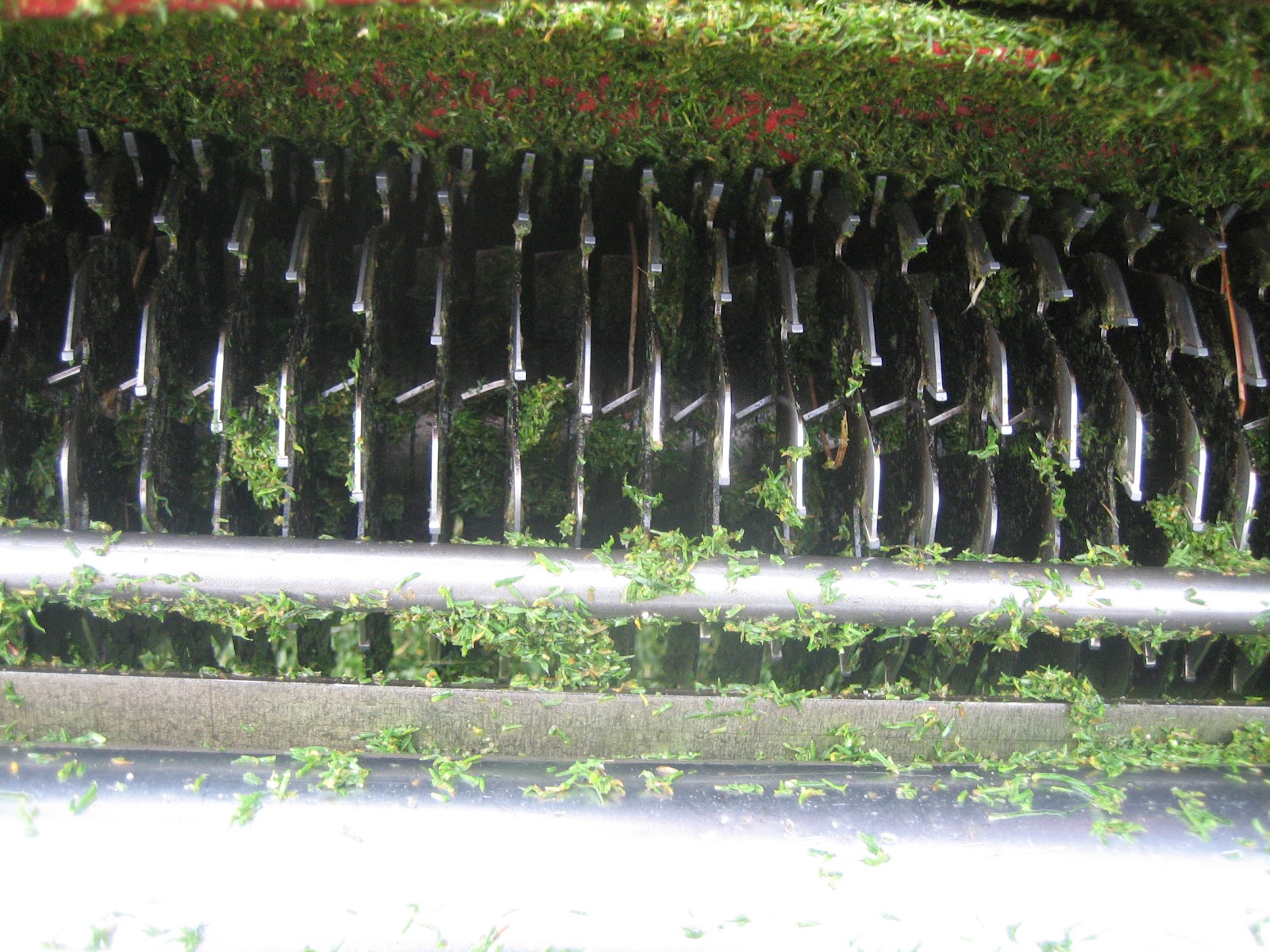 Golf Course Clippings: Vertical Mowing