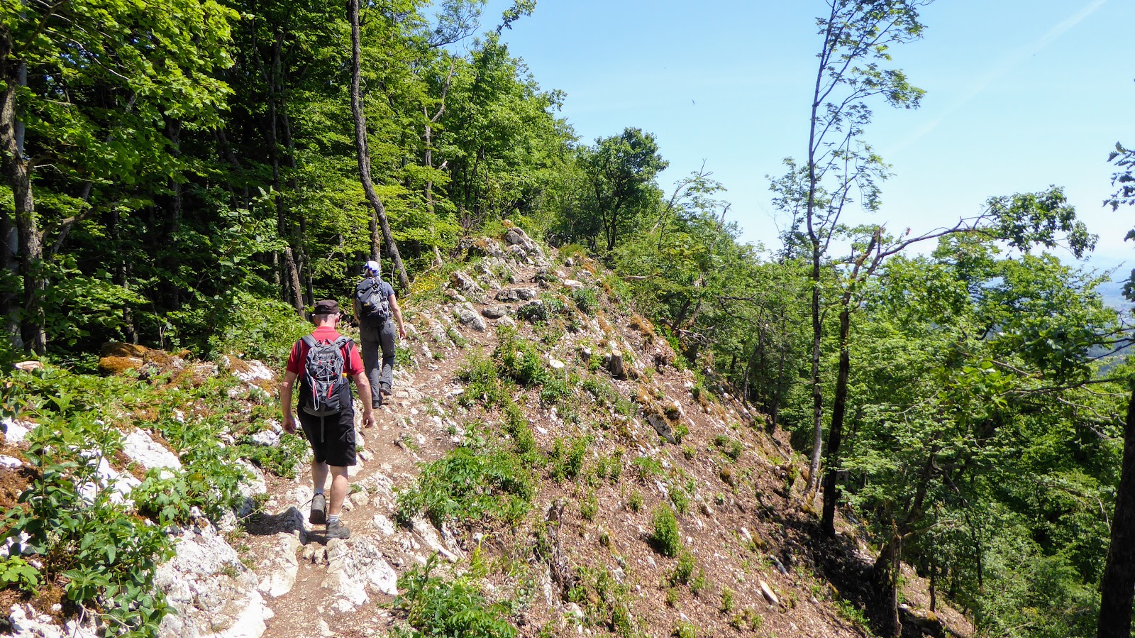 Lägern-Gratweg mit Abstecher zur Walhalla-Höhle (Baden – Dielsdorf ...