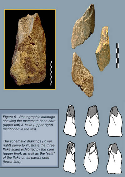thefuzzysasquatch: Pre-Clovis Archaeological Sites of the Americas 6 ...