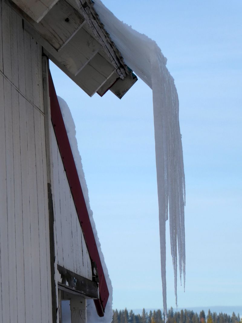 Rural Revolution: Icicles and snow shelves