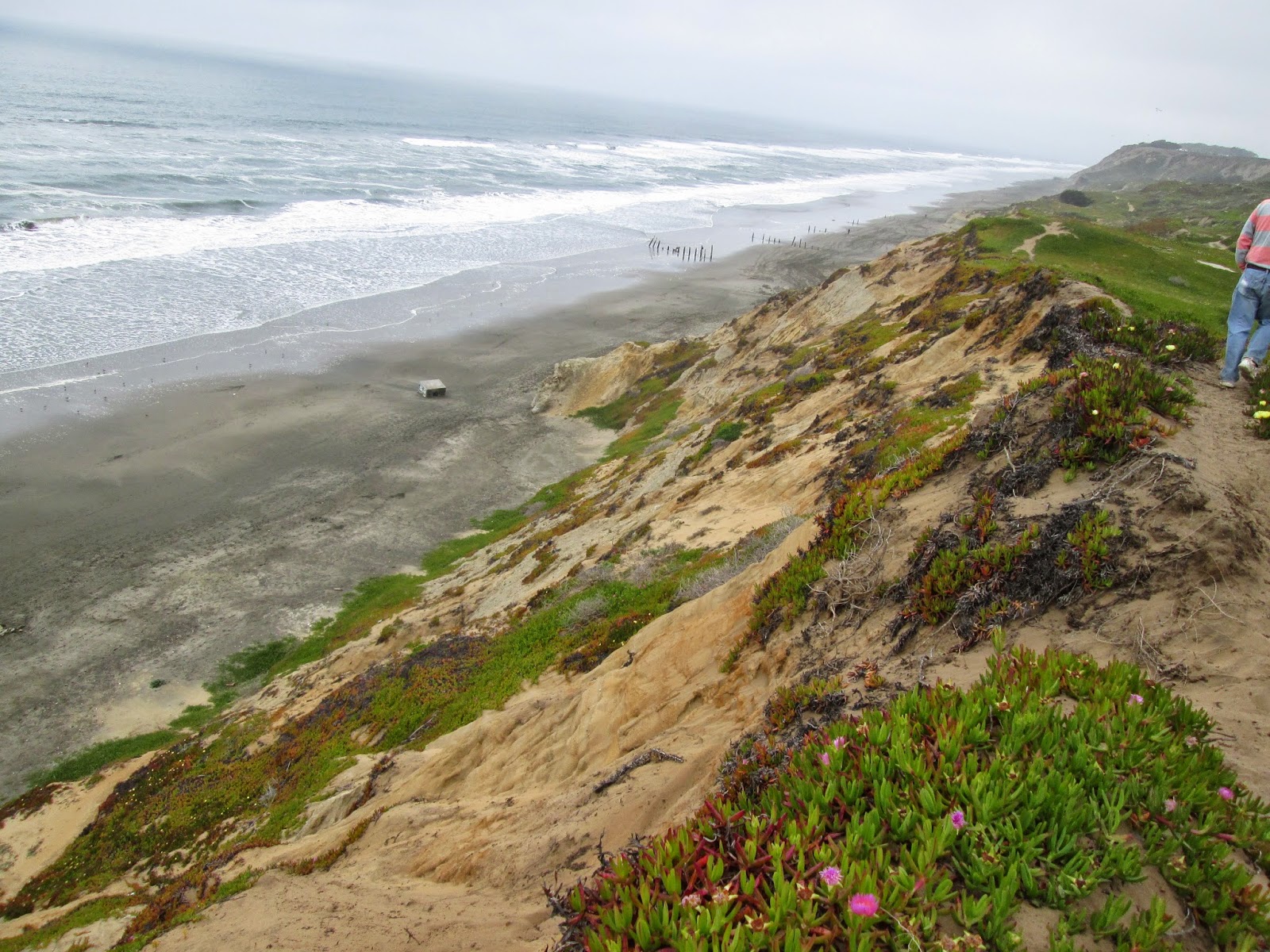 Hello: Thornton State Beach